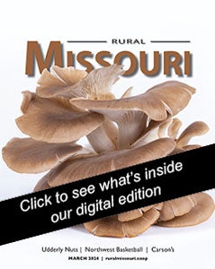 Home | Ralls County Electric Cooperative